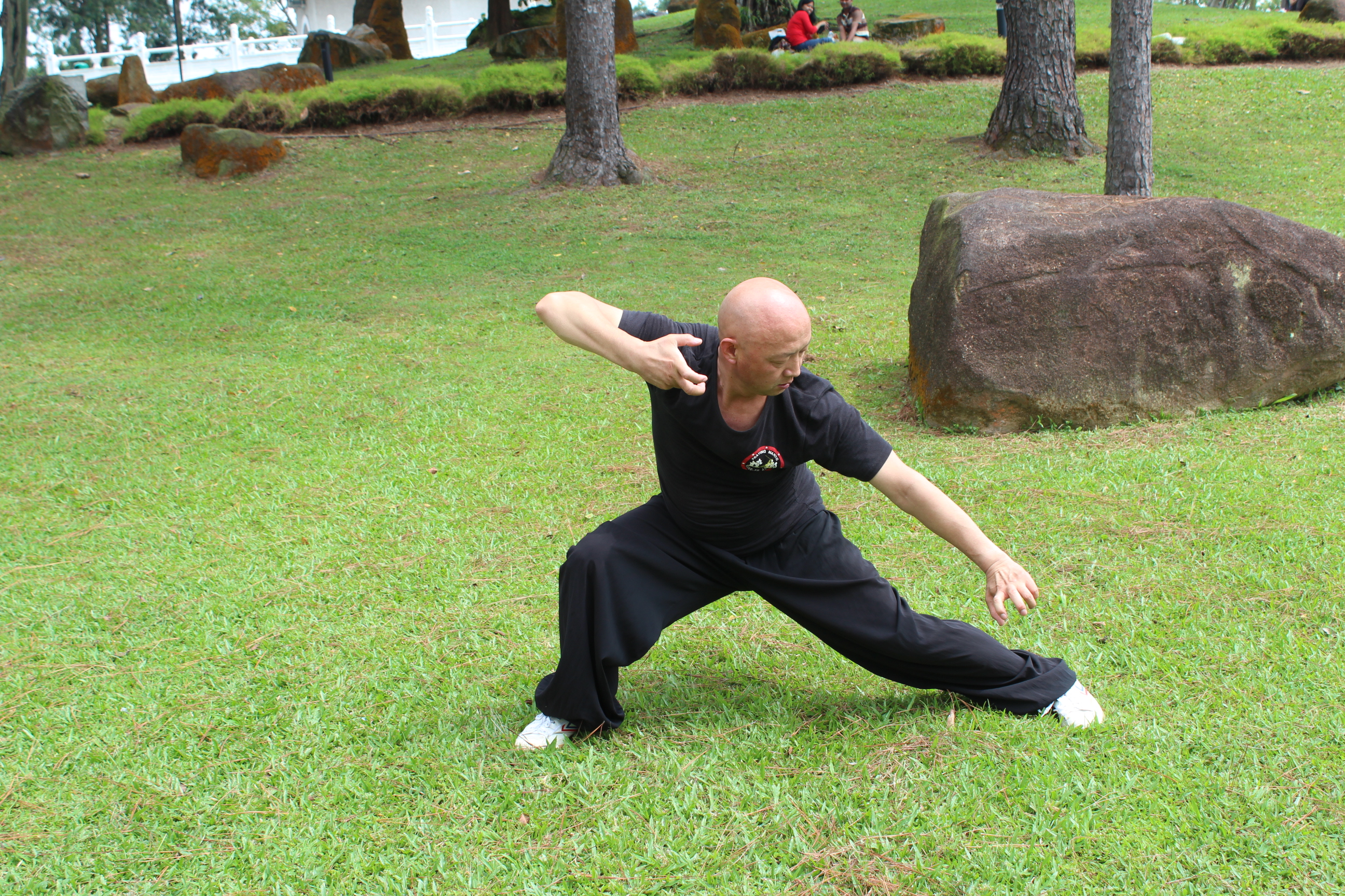 Kung Fu Mantis Style